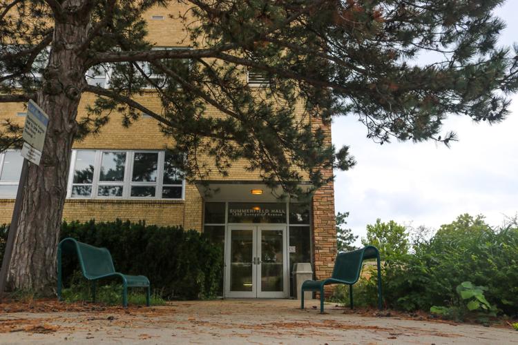 Welcome to the jungle: KU landscapers hard at work, numbers stand ...