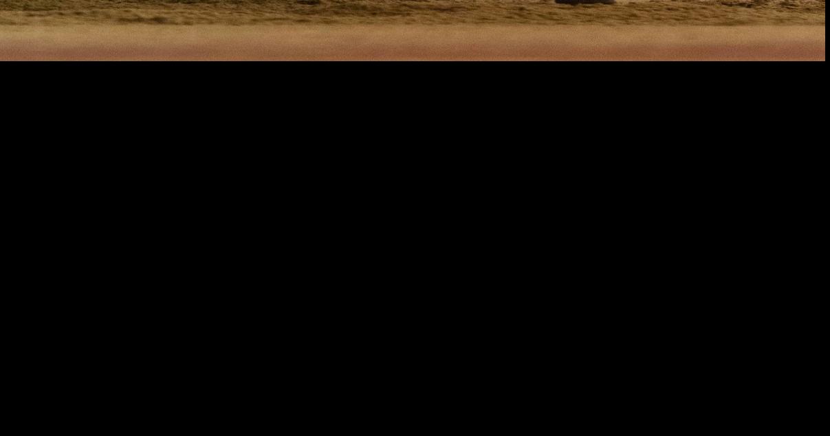 KU track & field adds 10 personal bests to seasonal resume | Sports ...