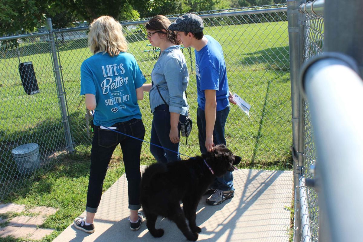 Pet returns at Lawrence Humane Society highlight adoption factors ...