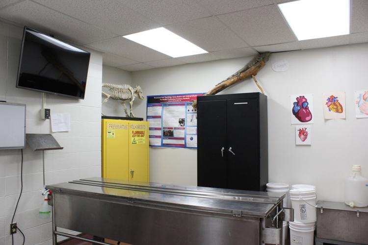 Dead teach the living in human anatomy dissection class | Arts ...