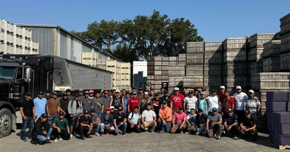 Farming without borders: The migrant workers powering US agriculture ...