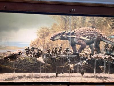 Kansas Senate wants to designate new state land fossil | News | kansan.com