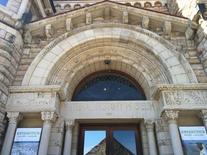 KU Natural History Museum ranked 4th-best in the country | Arts ...