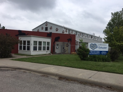 Lawrence Humane Society goes virtual for May 5k and running challenges ...