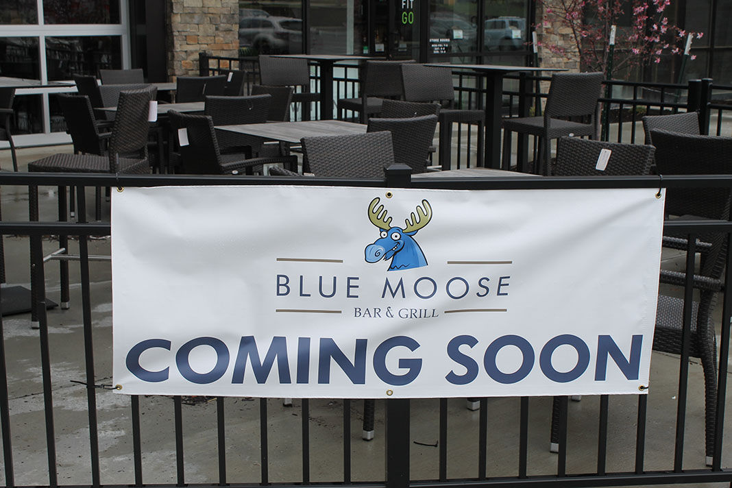 Blue Moose Bar & Grill opening Lawrence location soon | Arts & Culture ...