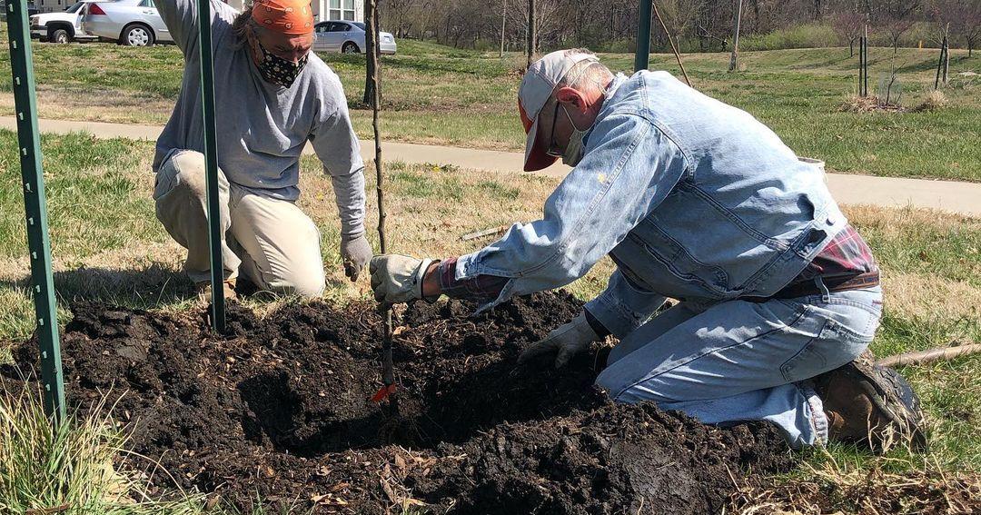 Lawrence Fruit Tree Project aims to provide fresh, free, accessible ...