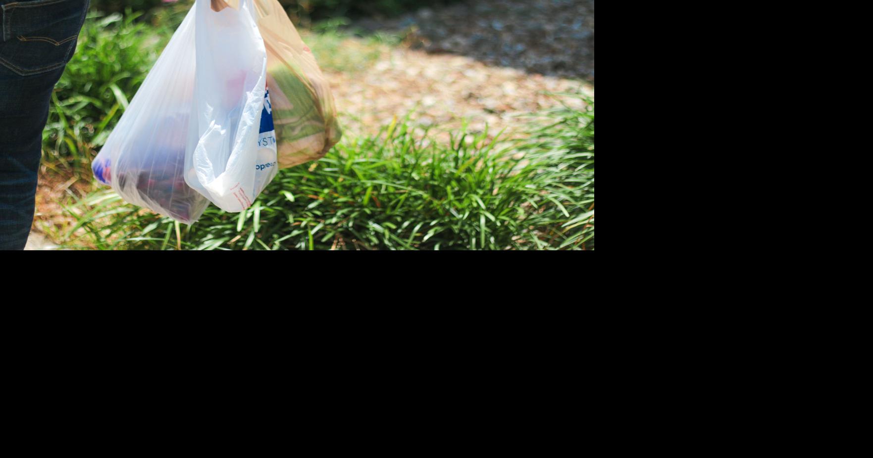 Plastic bag fee advances to City Commission for further deliberation ...