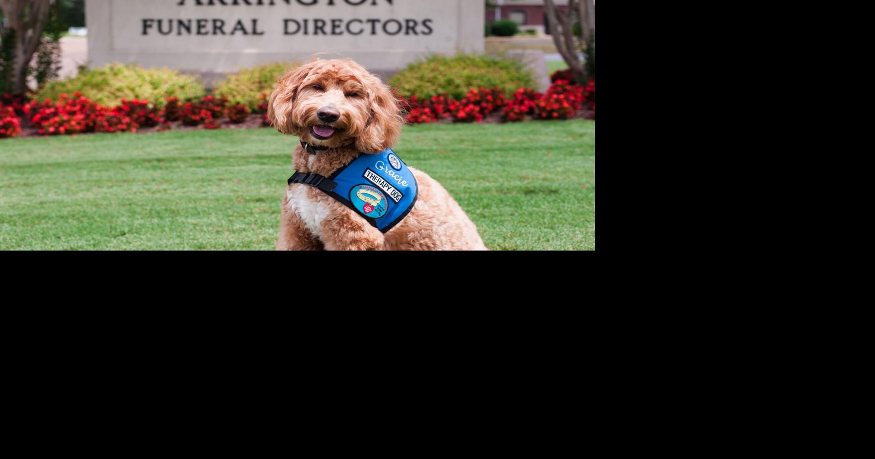 Grief Therapy Dogs May Have a Place in Your Funeral Home | Funeral ...