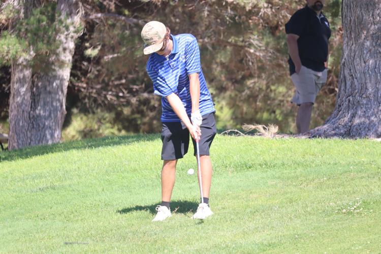 Photos: Kingman boys golf hosts Lee Williams, Mohave | Free Access ...