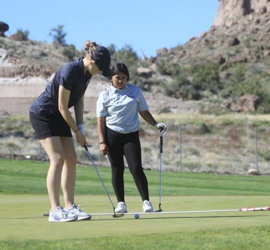 Golf | Tigers sweep top 5 places against Parker | Sports | kdminer.com