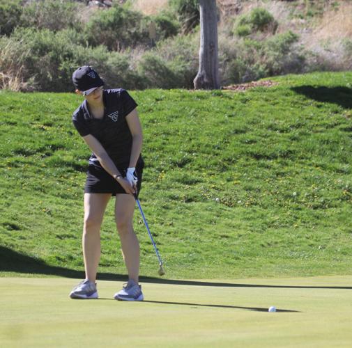 Golf | Tigers sweep top 5 places against Parker | Sports | kdminer.com