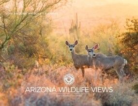 AZGFD announce photo contest winners for 2019 wildlife calendar ...