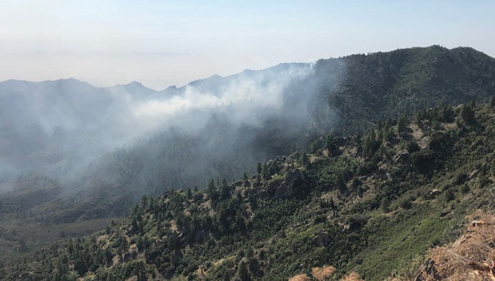Ridge Fire grows, but Pine Lake not threatened | | kdminer.com