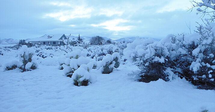 Freezing air streams into northern Arizona | | kdminer.com