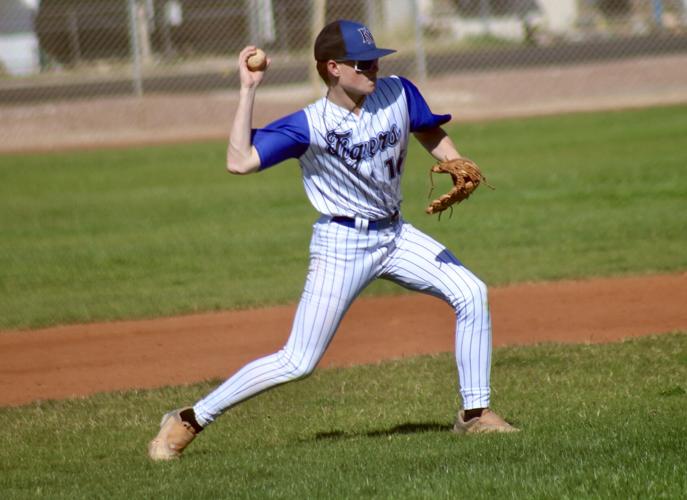 Baseball | Late surge lifts Tigers to comfortable win over MALC ...
