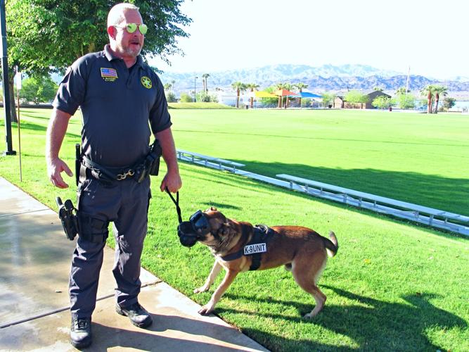Nonprofit seeks donations, support for Mohave County Sheriff’s K-9 Unit ...