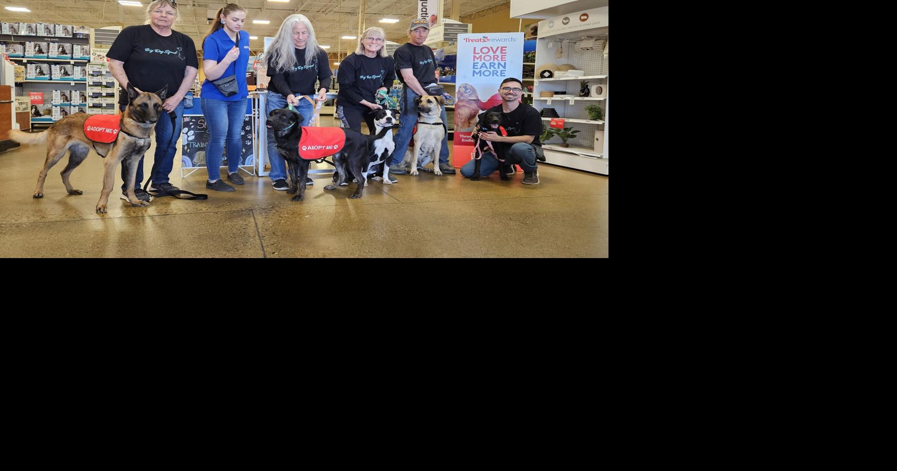 New training program aims to help big dogs find homes | News | kdminer.com
