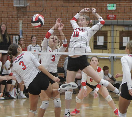 Volleyball | Lee Williams vs Coconino | Sports | kdminer.com