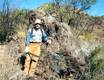 Mohave County Geology | Silicification: How nature makes something hard ...