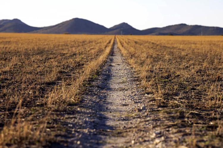 Where a Saudi company pumps desert groundwater, Arizona considers ...