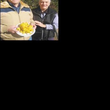 Mega-lemon may end up in freezer | | kdminer.com