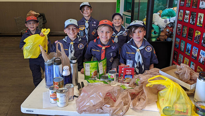 Boys Scouts annual Scouting for Food donation drive Saturday benefits ...