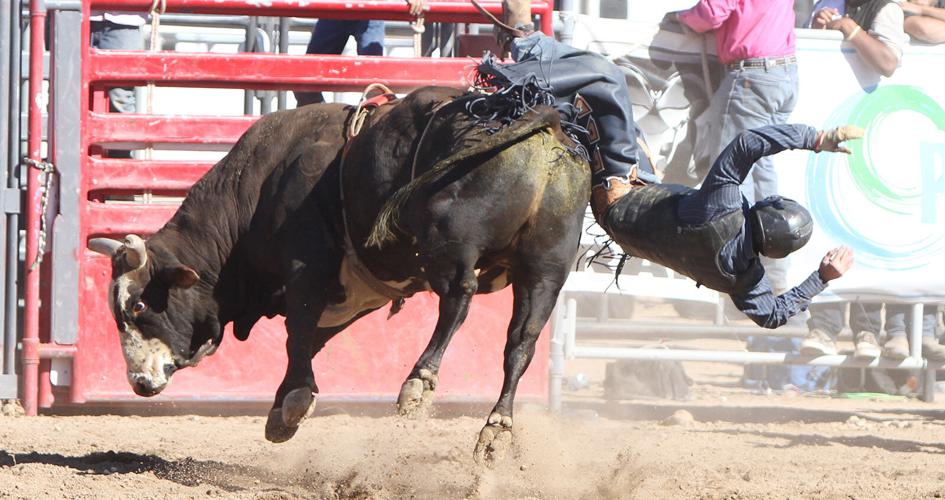 Fairgrounds packed for Andy Devine Days Rodeo | Features | kdminer.com