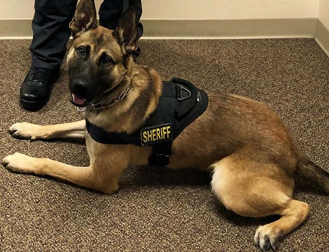 Sheriff’s office introduces new K9 team | | kdminer.com