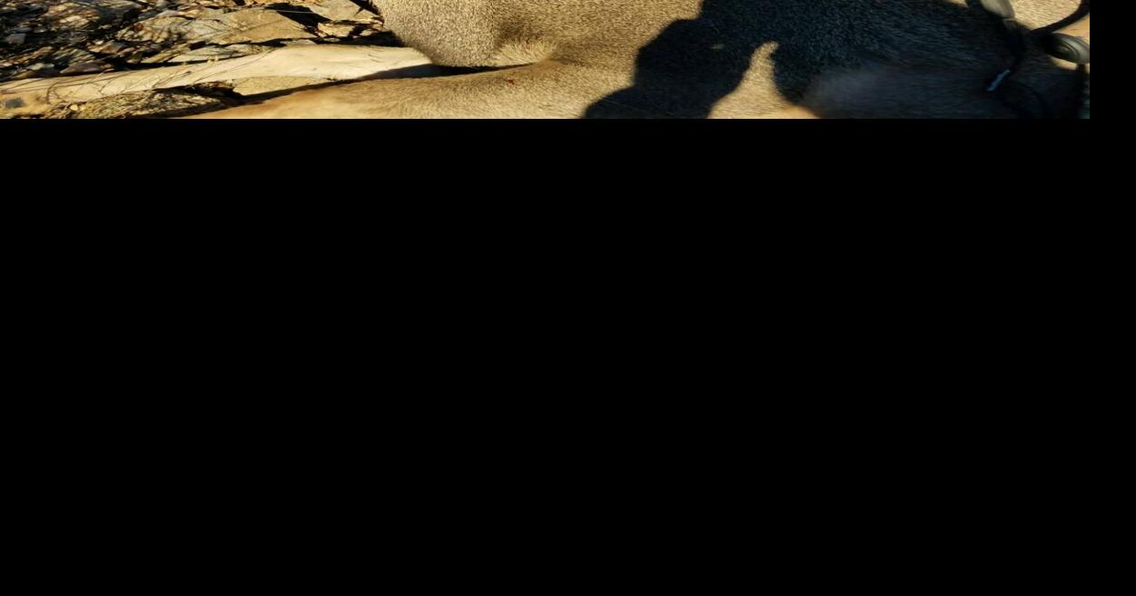 Young lady’s first muzzleloader deer hunt end on a high note | Features ...