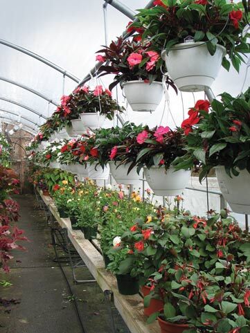Caliche creates barrier in garden | Features | kdminer.com