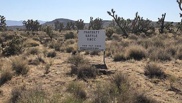 Dolan Springs group to raffle Joshua tree-dotted land as fundraiser ...