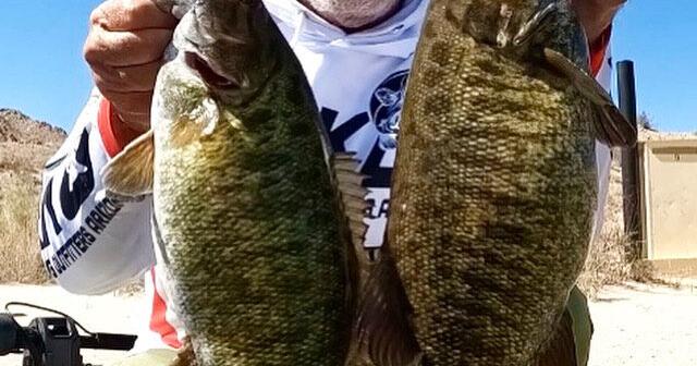 The Great Outdoors | Fish biting, but where do you get bait? | Features ...