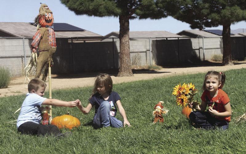 CERBAT ELEMENTARY | Fall Kindergarten Festival | Local News | kdminer.com