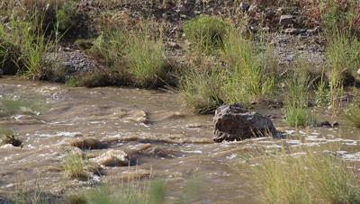 Chance of rain or thunderstorms in Kingman forecast | | kdminer.com