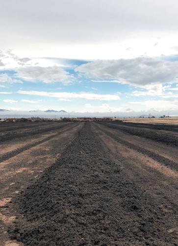 Compost in city parks and golf courses saves the money on fertilizer ...