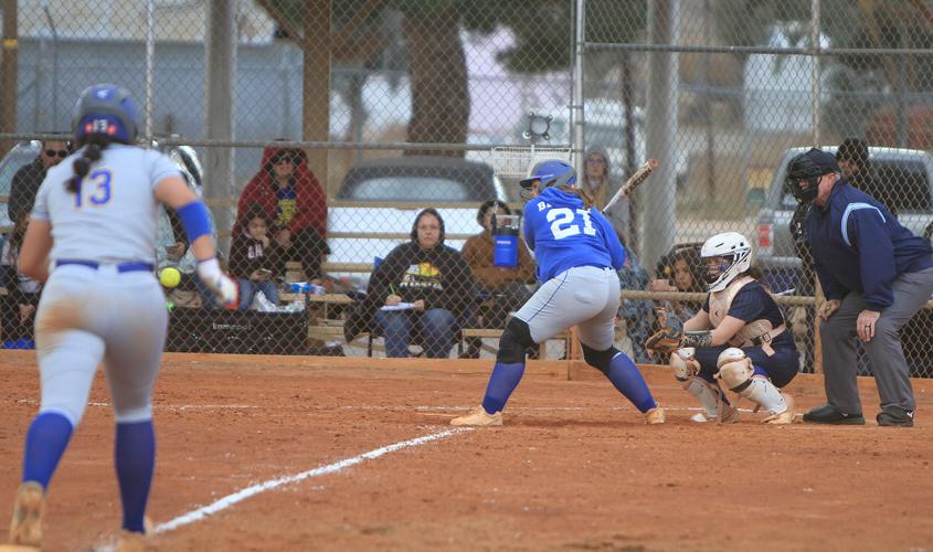 SOFTBALL | Bulldogs bash Tigers in season opening victory | Sports ...