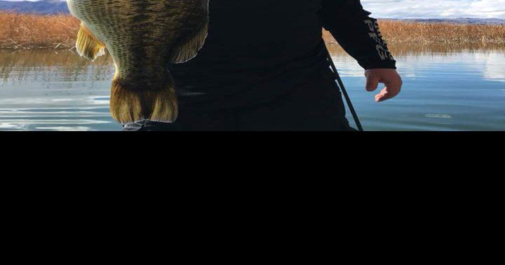 Outdoors Briefs | Local anglers catch 7-pound fish | | kdminer.com