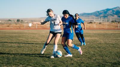 Girls Soccer | Bulldogs top Tigers in overtime | Sports | kdminer.com