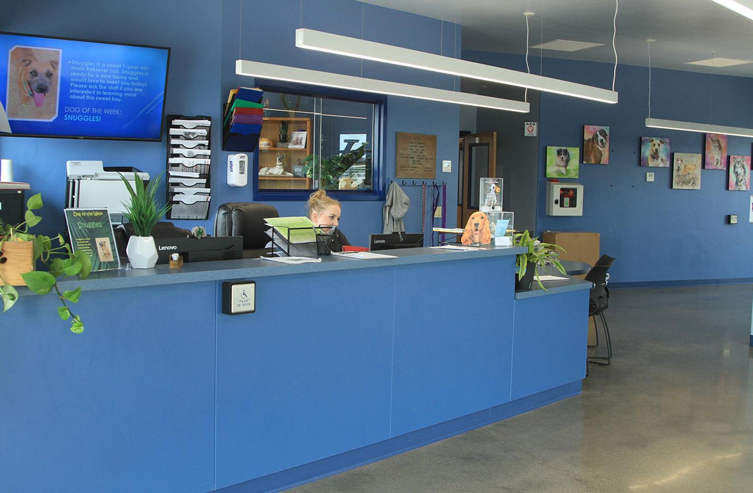 Supervisors consider new animal shelter fees amid rising medical costs ...