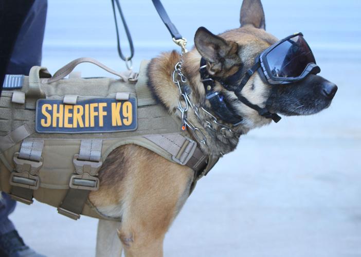 K-9 Foundation Car Show | Features | kdminer.com