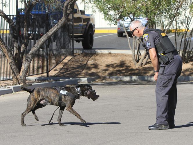 K-9 Foundation Car Show | Features | kdminer.com