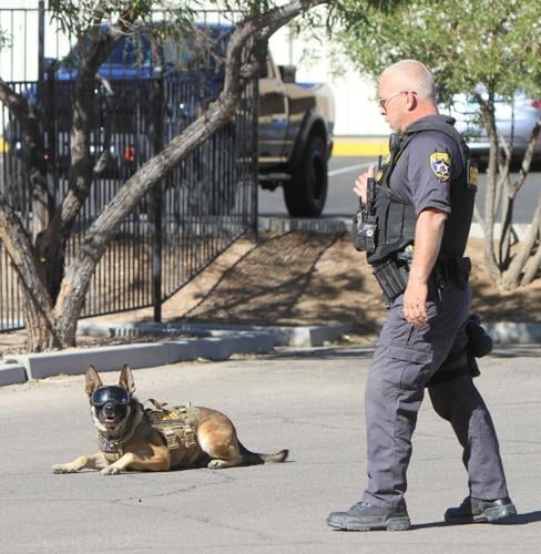 K-9 Foundation Car Show | Features | kdminer.com