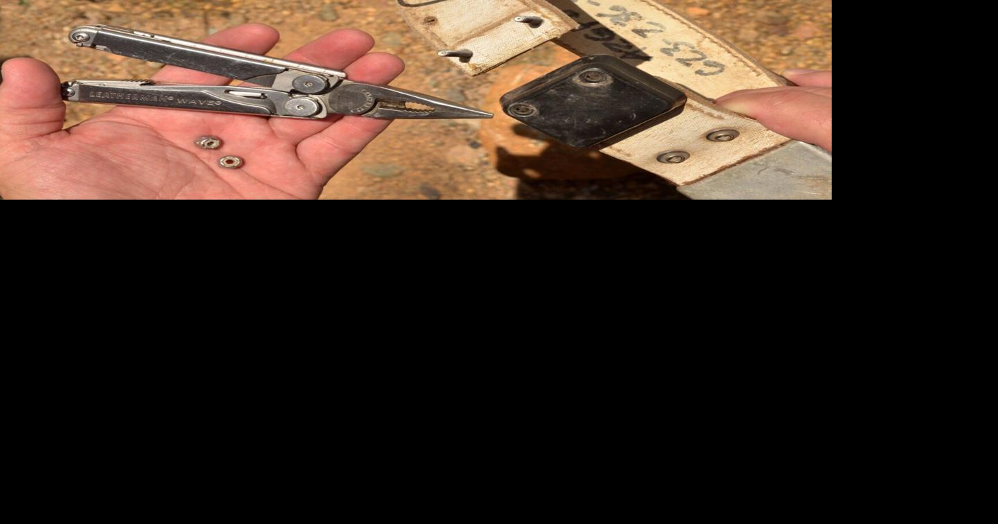 Hunters asked to save tracking collars, wildlife management relies on ...