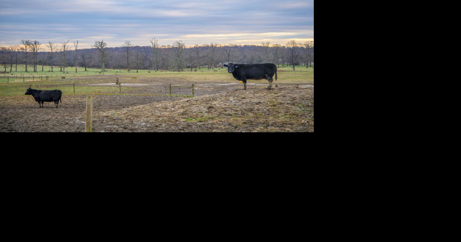 USDA internship program for college students | | kdminer.com