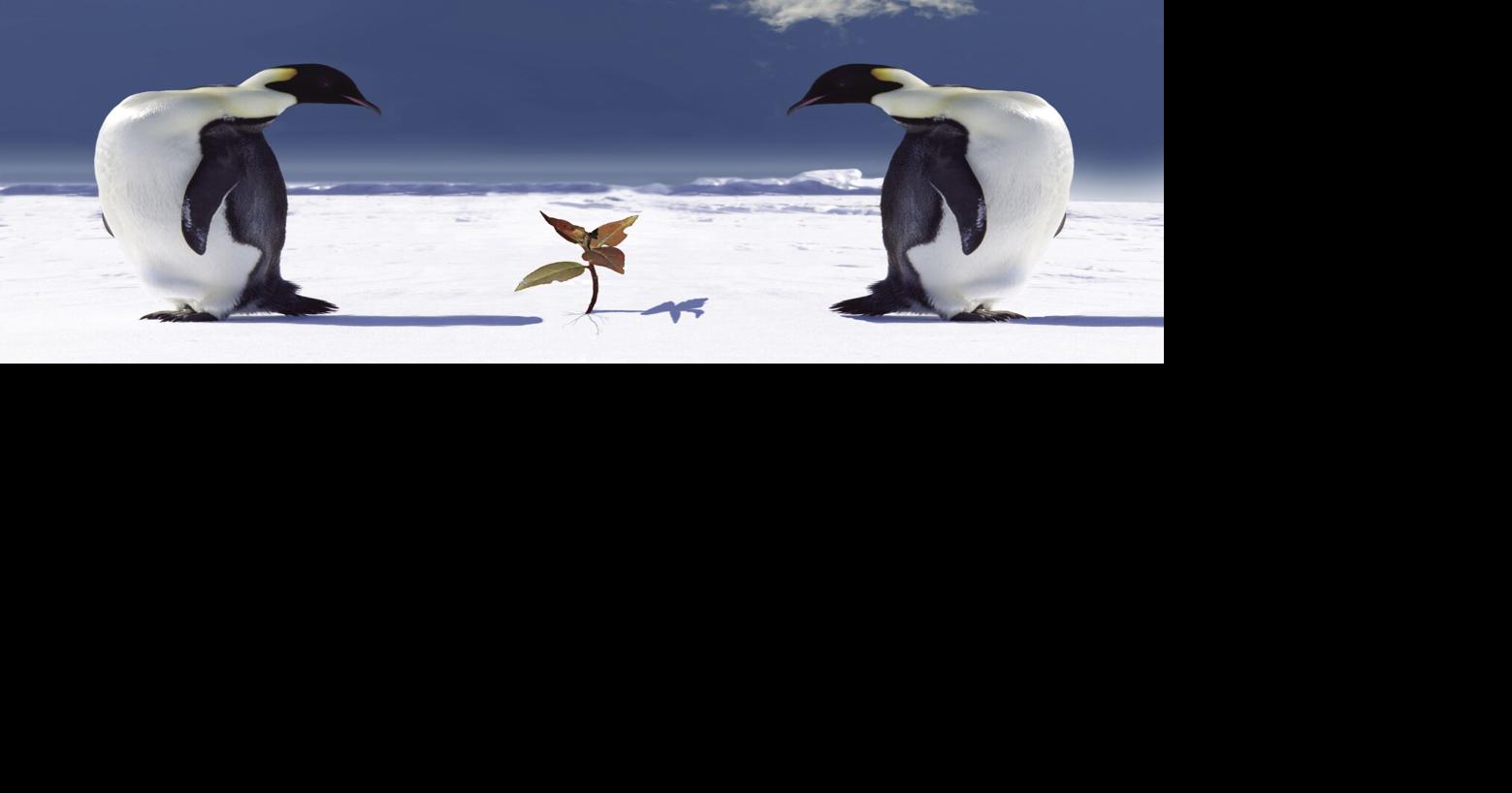UN report on global warming carries life-or-death warning | | kdminer.com