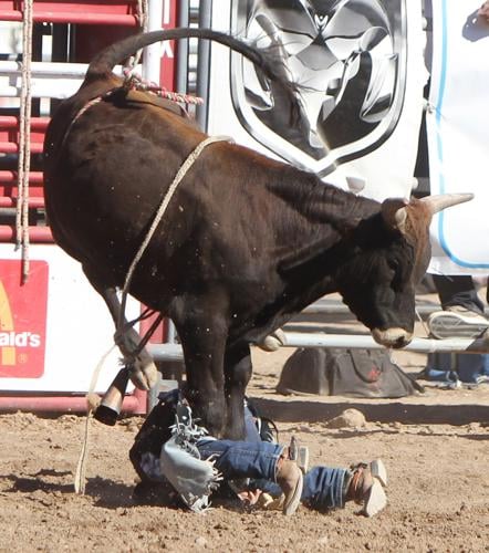 Fairgrounds packed for Andy Devine Days Rodeo | Features | kdminer.com