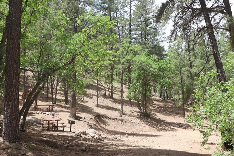 Local groups celebrate National Trails Day with clean up at Hualapai ...