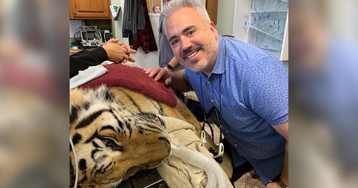 Tiger dentist: Local dentist had a tiger by the teeth | Archives ...