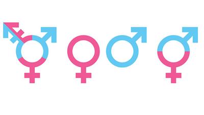 Republicans hire attorney to defend law prohibiting trans girls from ...