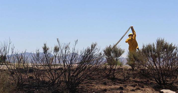 Windy weather in forecast for Kingman | | kdminer.com